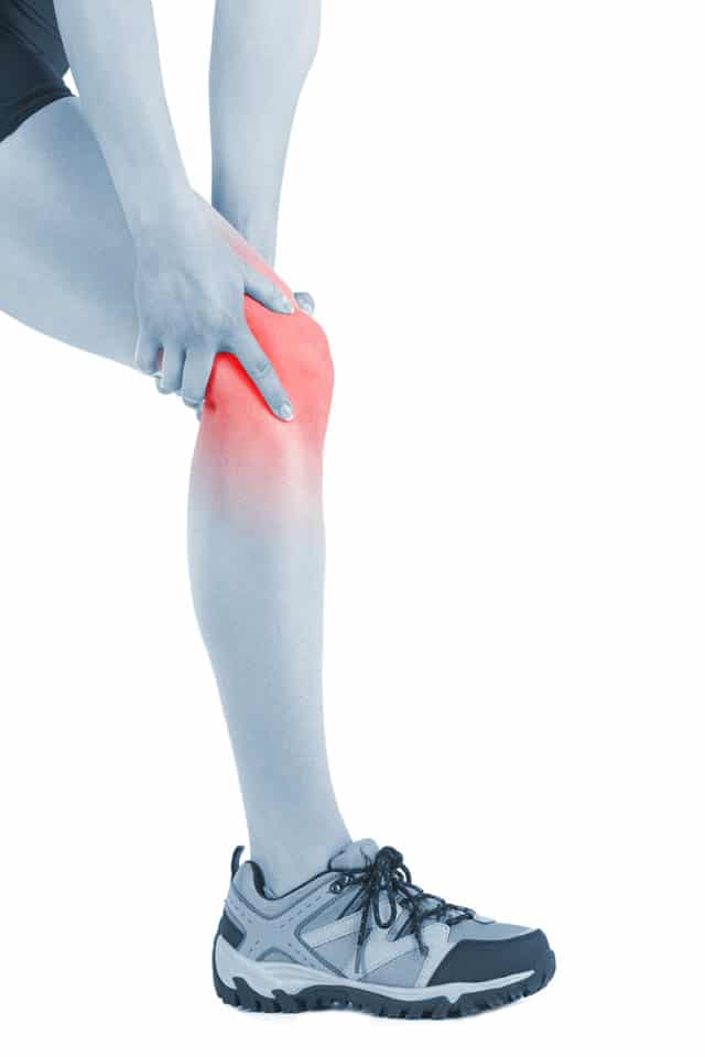 Introduction to Knee | Physicaltherapynow.com